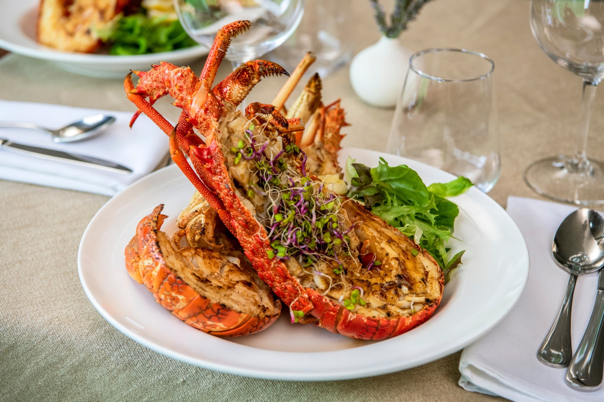 The Ultimate List Of The Best Restaurants in New Zealand | Enterprise ...