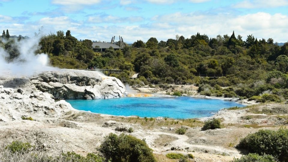 Wellington to Tauranga Drive: A 5-Day North Island Itinerary