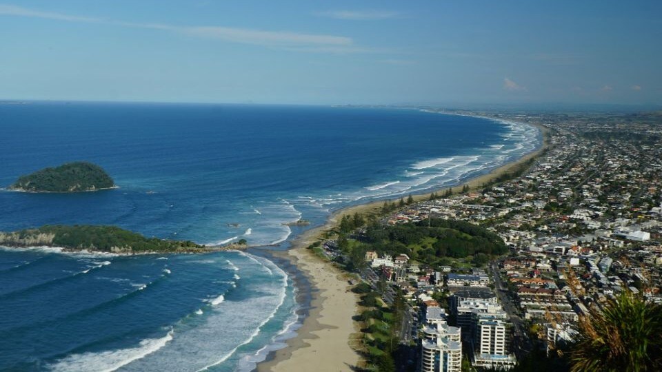 Wellington to Tauranga Drive: A 5-Day North Island Itinerary